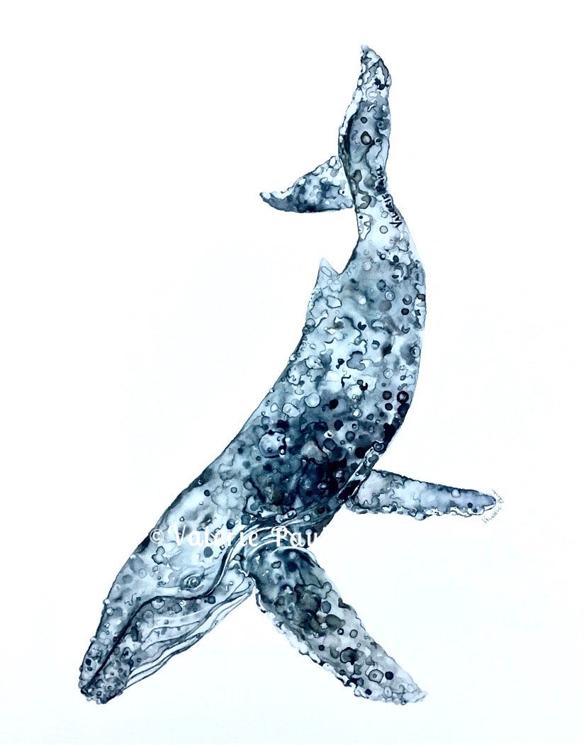 Humpback Whale | Valerie Paul Art